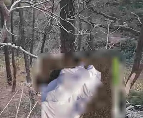 काठगोदाम जंगल में कंकाल,शिनाख्त नहीं हो पाई.. - The Pigeon Post